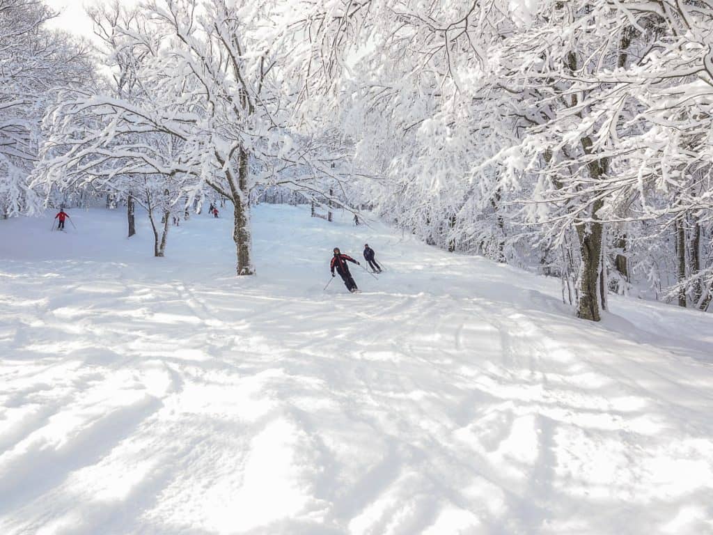 Mont SUTTON - Station de Ski au Québec dans les Cantons-de-l'Est –Mont ...