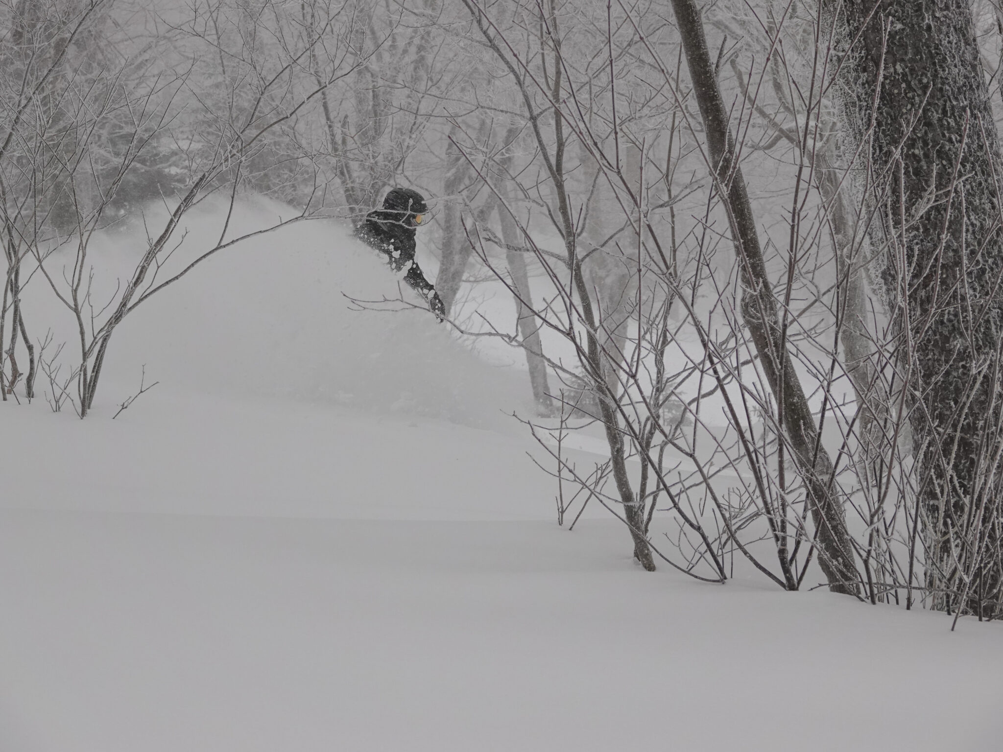 Mont SUTTON - Station de Ski au Québec dans les Cantons-de-l'Est ...