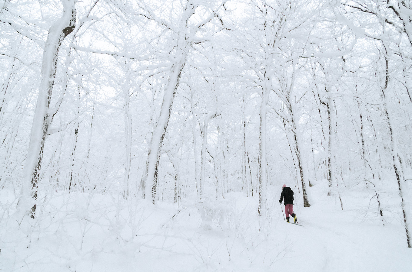 Mont SUTTON - Station de Ski au Québec dans les Cantons-de-l'Est ...